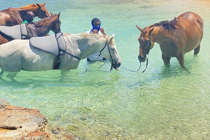 Birthday Celebration Experience in Jamaica + Transportation - The Sum Up