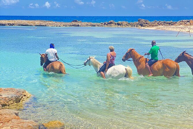 Birthday Celebration Experience in Jamaica + Transportation - FAQs