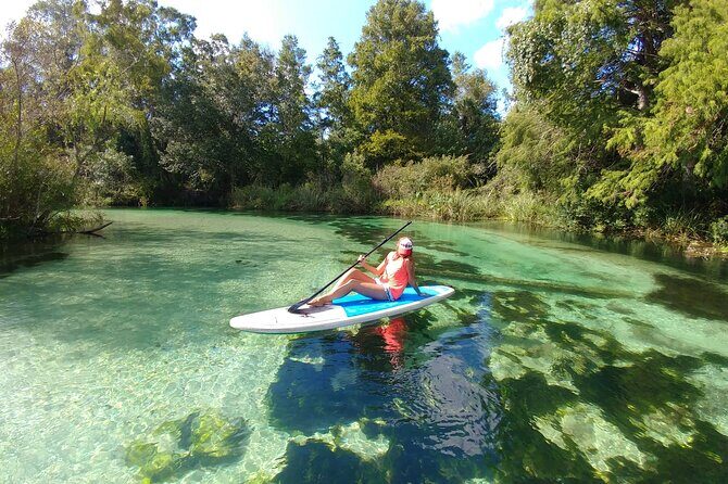 Biscayne Bay Island and Nature Exploration - An In-Depth Look at the Biscayne Bay Island and Nature Exploration Experience