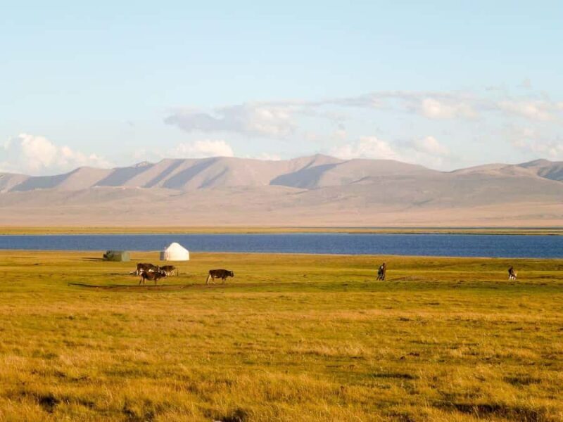 Bishkek: 2-Day Adventure tour to Song-Kol Lake - Transportation, Cost, and Group Size