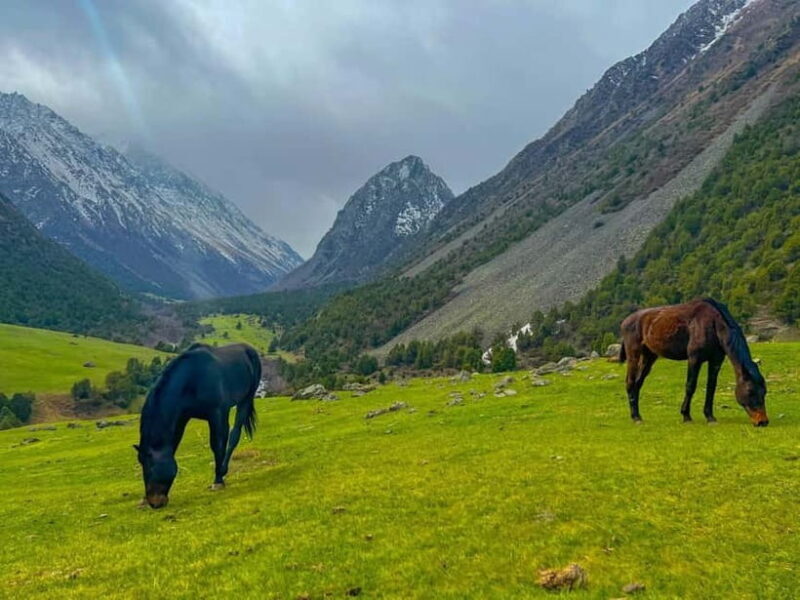 Bishkek: Ala-Archa and Alamedin Gorge Guided Tour - FAQ