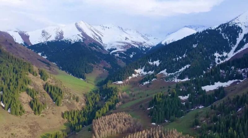 Bishkek: Chon Kemin & Issyk-Kul Lake guided day Tour - The Sum Up