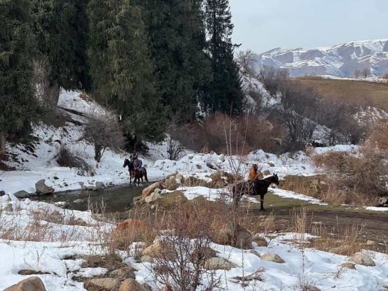 Bishkek : Chon-Kemin Valley Horseback Riding & Burana Tower - Why This Tour Offers Genuine Value
