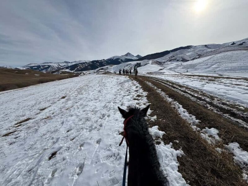 Bishkek : Chon-Kemin Valley Horseback Riding & Burana Tower - Practical Considerations