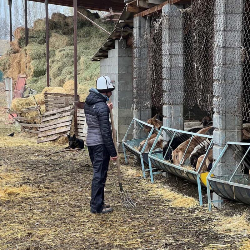 Bishkek: Horseback Ride & Shepherds Farm Cooking Experience - Detailed Breakdown of the Itinerary