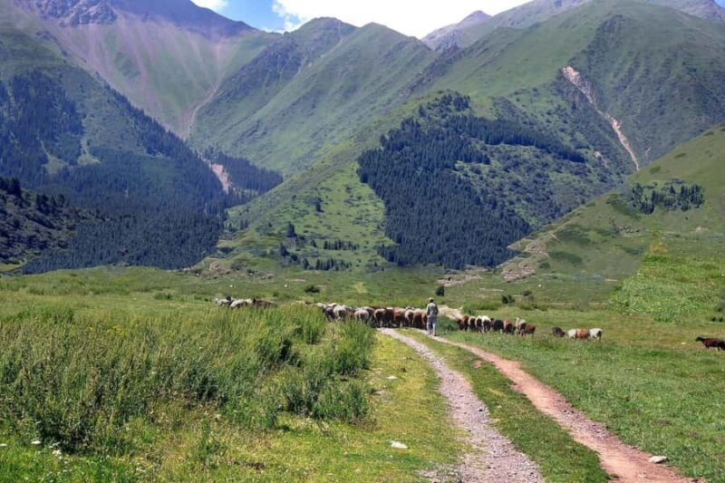 Bishkek: Shamsi Gorge Day Trip - The Itinerary in Detail