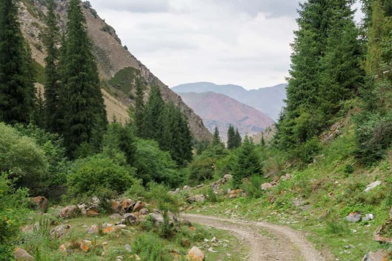 Bishkek: Shamsi Gorge Day Trip - What Travelers Say