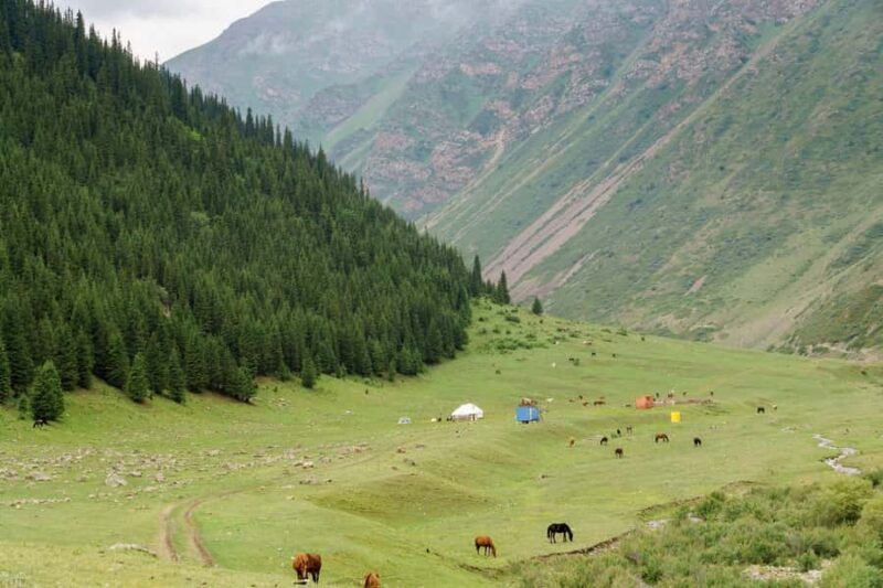 Bishkek: Shamsi Gorge Day Trip - Practical Details