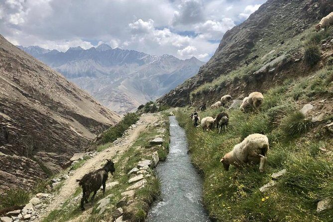 Bishkek to Dushanbe on Pamir Highway - Who Should Consider This Tour?