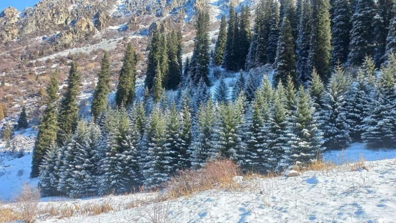 Bishkek:(3 Days) to Explore Nature, History & Nightlife - Key Points