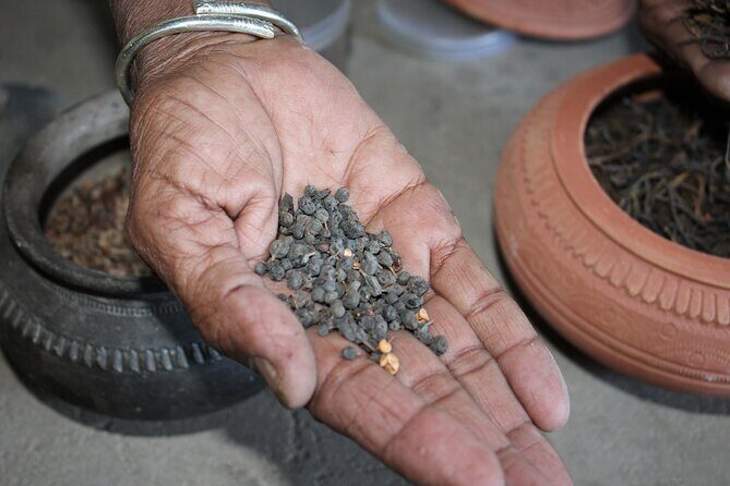 Bishnoi Village Safari Jodhpur Jeep Half Day Private Tour - The Authenticity and Cultural Significance