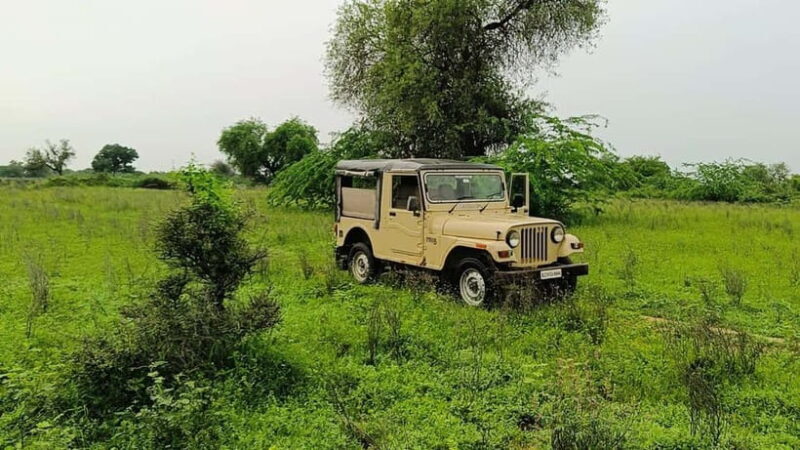 Bishnoi Village :Safari tour - Final Thoughts