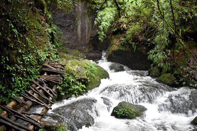 Bishnu Dwar (Shivapuri) Hike from Kathmandu - Detailed Insights into the Shivapuri Dwar Hike