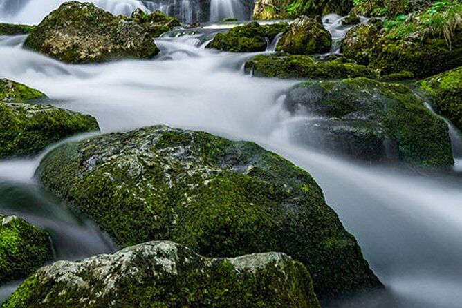 Bishnu Dwar (Shivapuri) Hike from Kathmandu - What Past Reviewers Say