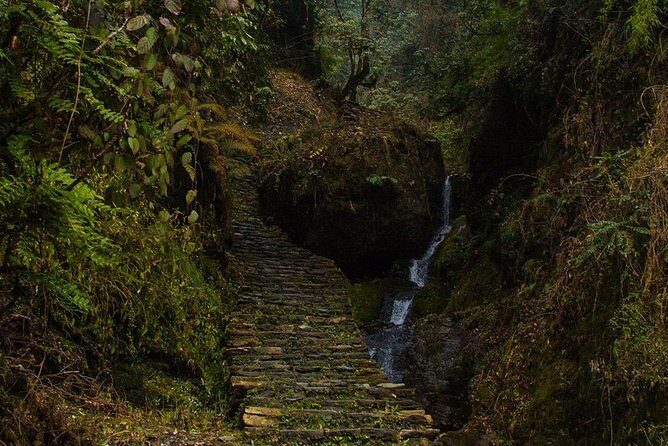 Bishnu Dwar (Shivapuri) Hike from Kathmandu - The Sum Up: Is This Tour Right for You?