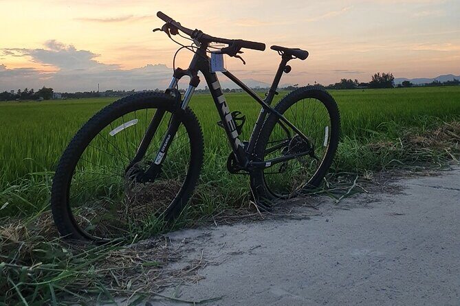 Bites by Bike a Hoi An Food Tour - A Detailed Look at the Experience