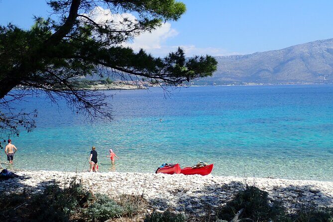 Bits of History - Half day kayak Tour with Wine delight - Why This Tour Offers Great Value