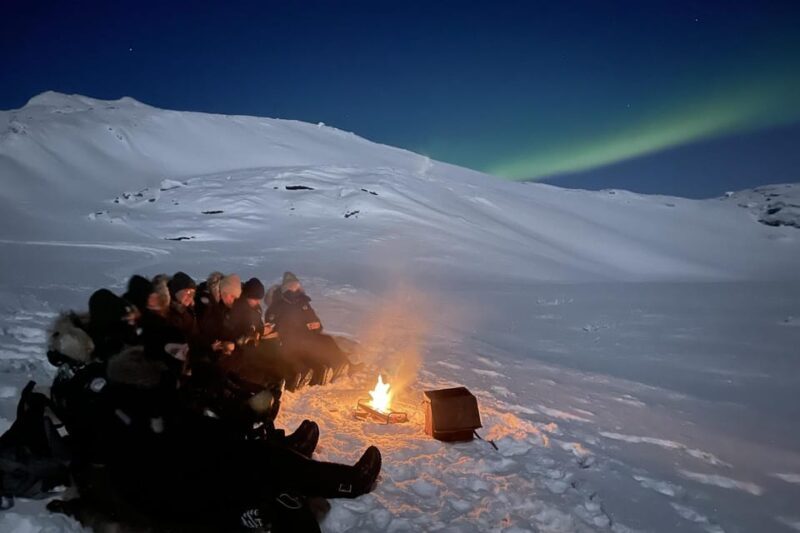 Björkliden/Abisko: Night Sky Snowmobile Tour - Key Points