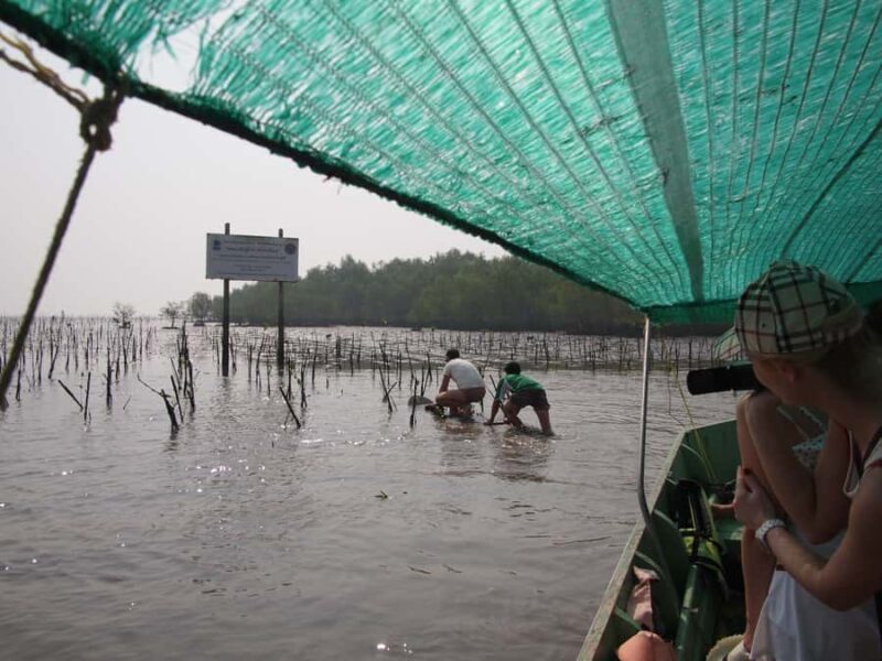 BKK :Meet monkey, mangrove forest, seafood& market -private - Final Thoughts