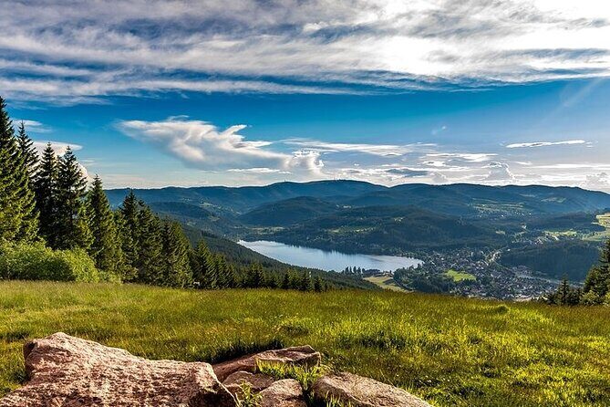 Black Forest and Rhine Falls Day Trip from Zurich - Who Would Enjoy This Tour?