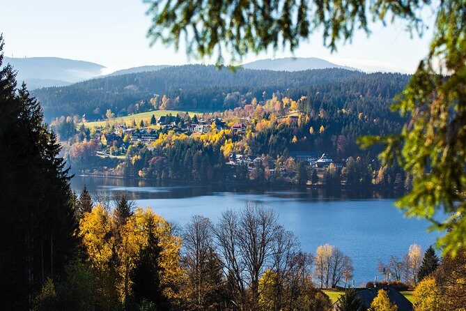 Black Forest and Rhine Falls Day Trip from Zurich - Practical Tips for Travelers