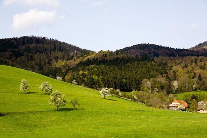 Black Forest Day Tour - Food and Drinks