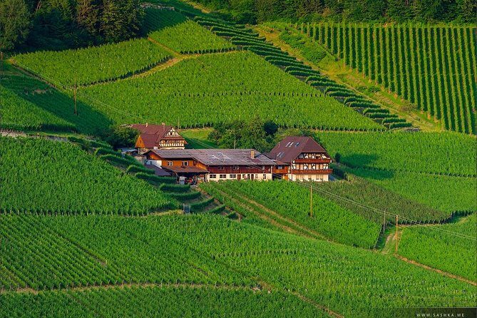 Black Forest. From Baden-Baden to Strasbourg. Two countries in one day - Practical Details and What to Expect