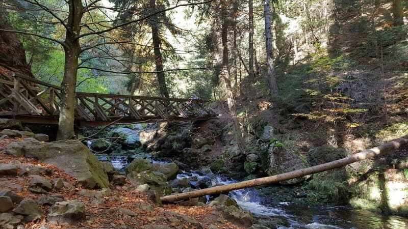 Black Forest: Ravenna Gorge Hike, Self-Guided - Final Words