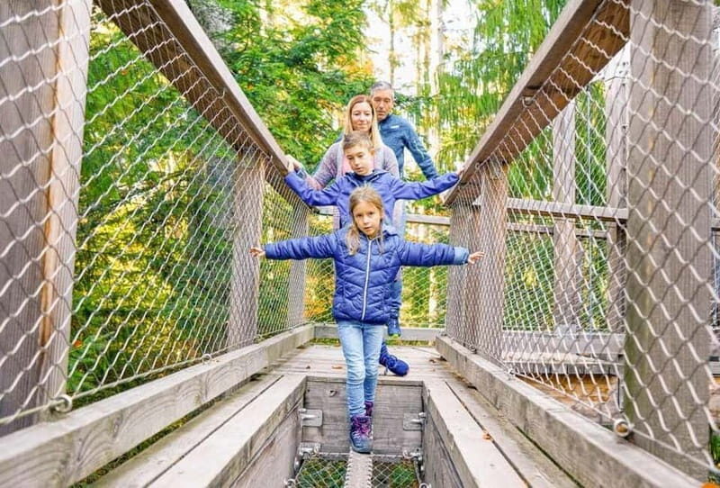 Black Forest: Treetop Walk & Lookout Tower Experience - Key Points
