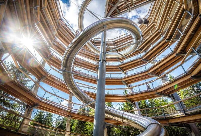Black Forest: Treetop Walk & Lookout Tower Experience - An Introduction to the Treetop Walk Adventure