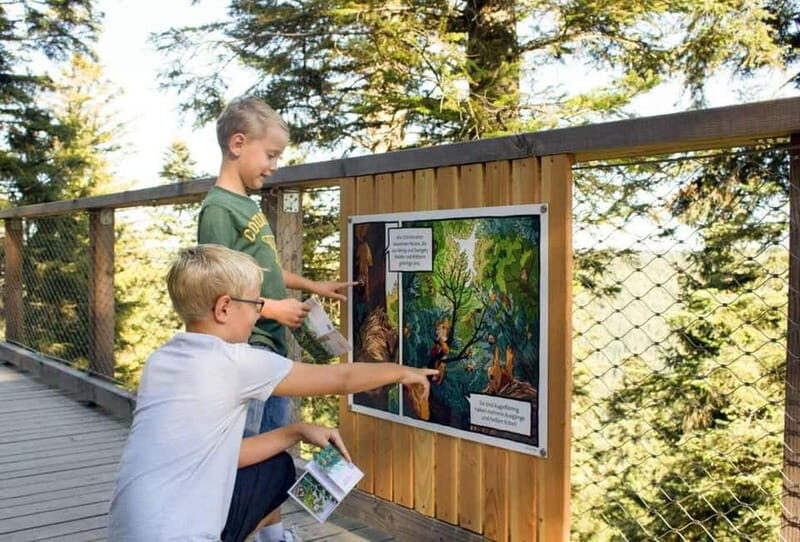 Black Forest: Treetop Walk & Lookout Tower Experience - Why This Experience Works