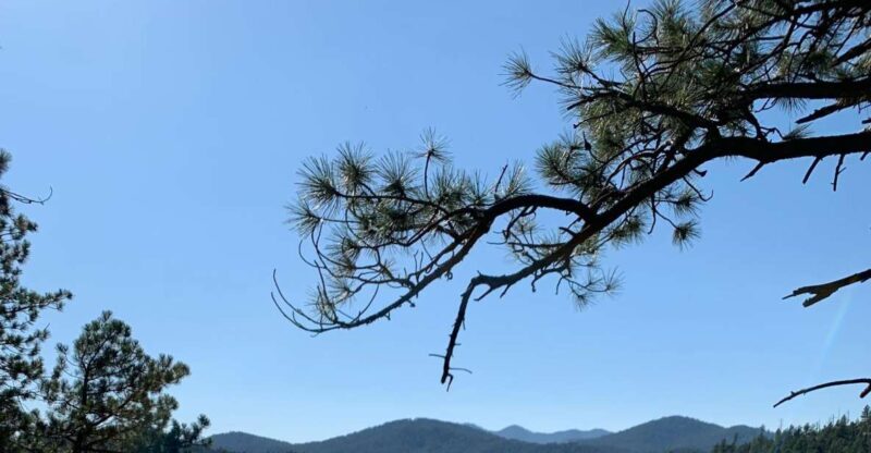Black Hills: Private Tour of Mt. Rushmore & Flume Trail Hike - Final Thoughts: Is This Tour Right for You?