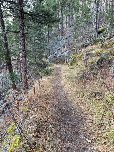 Black Hills: Private Tour of Mt. Rushmore & Flume Trail Hike - The Sum Up