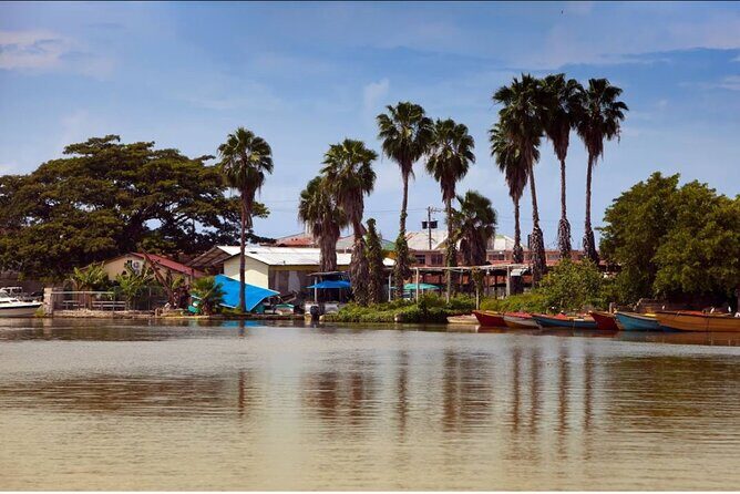 Black River Safari and Floyd Pelican Bar Tour from Montego Bay - What Travelers Are Saying