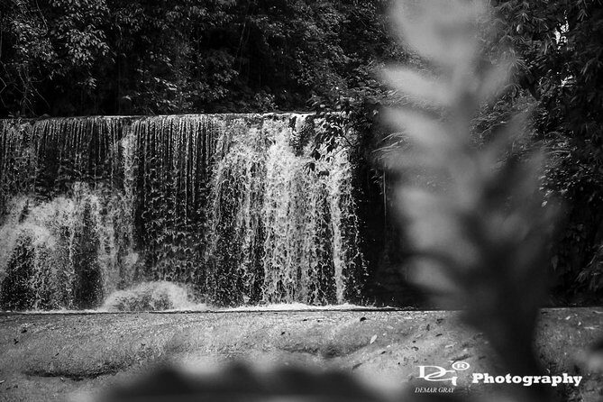 Black River Safari and YS Water Falls - Introduction: What This Tour Offers