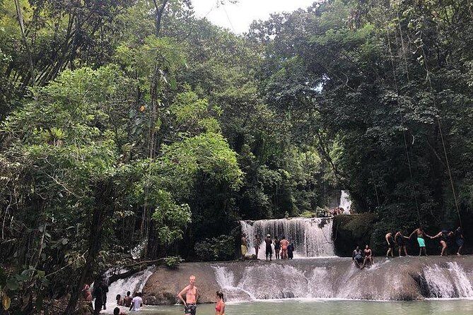 Black River Safari and YS Water Falls - Authentic Experiences Highlighted by Reviews