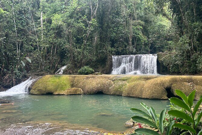 Black River Safari and YS Water Falls - The Sum Up