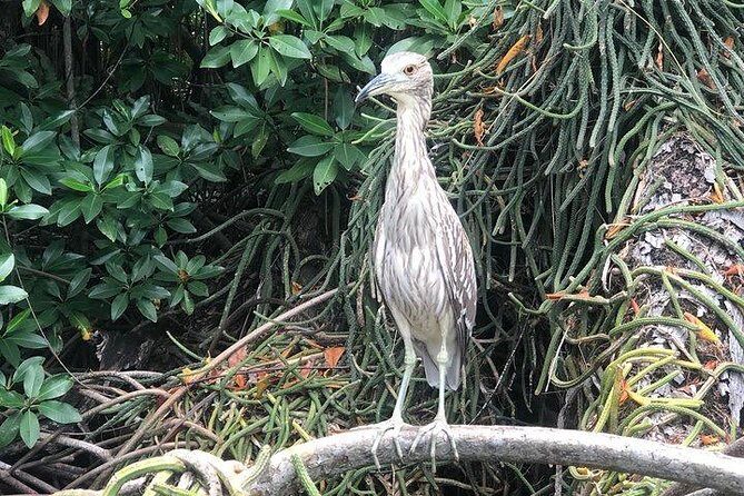 Black River Safari and YS Water Falls - FAQ