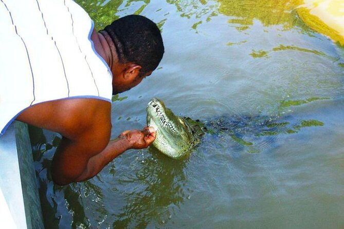 Black River Safari with Transport from Montego Bay - An Authentic Look at the Black River Safari