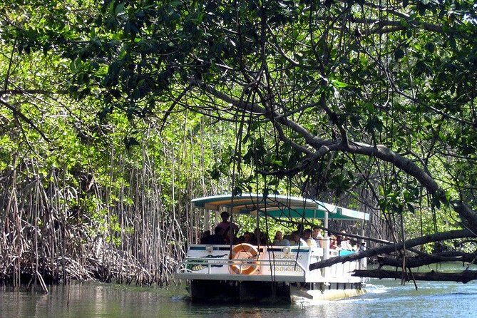 Black River Safari with Transport from Montego Bay - FAQs
