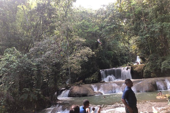 Black River Safari, YS Falls and Appleton Estate - A Deep Dive into the Itinerary