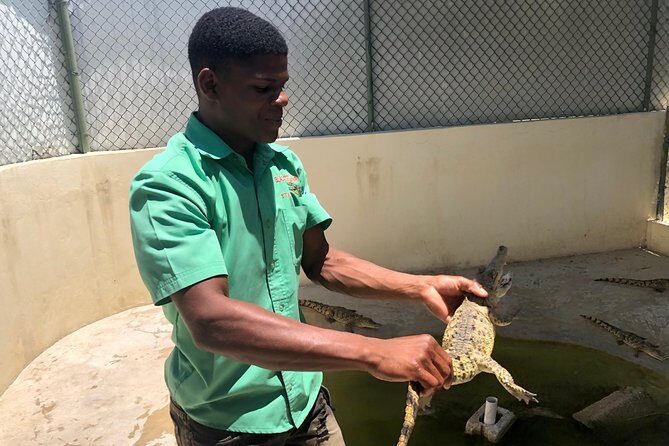 Black River Safari, YS Falls and Appleton Estate - The Sum Up