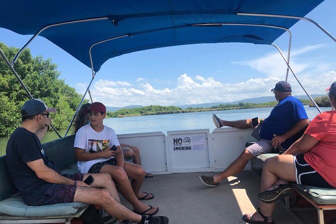 Black River Safari, YS Falls and Floyd's Pelican Bar - Authentic Experiences and Traveler Feedback