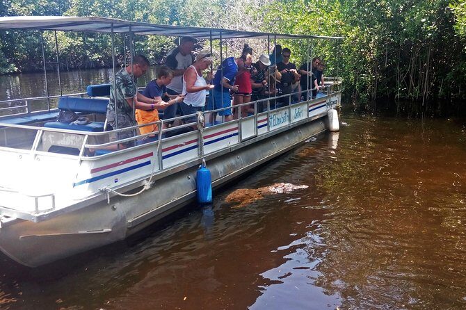 Black River Safari * YS Falls * Appleton Rum Tour - An in-depth look at the tour: what to expect and why it matters