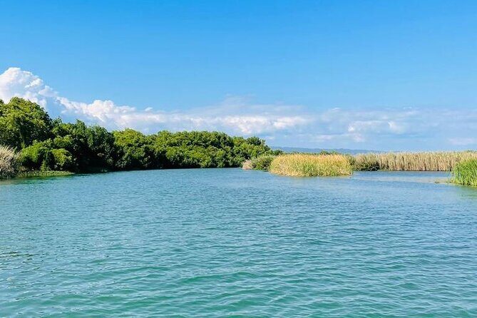 Black River Safari YS Falls Lunch Classic Combo From Negril - Key Points