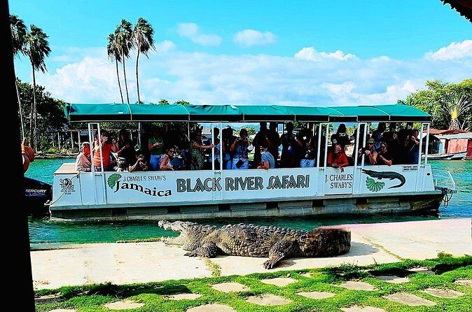 Black River Safari YS Falls Lunch Classic Combo From Negril - FAQ