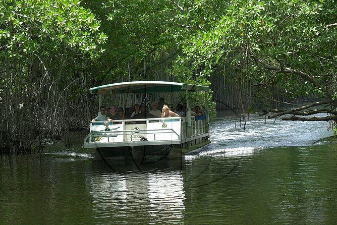 Black River Safari/YS Falls plus Floyd's Pelican Bar Private Tour - Who Is This Tour Best For?