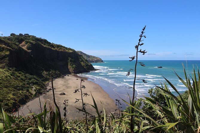 Black Sand Beaches & Birds Auckland Sightseeing Tour - Key Points
