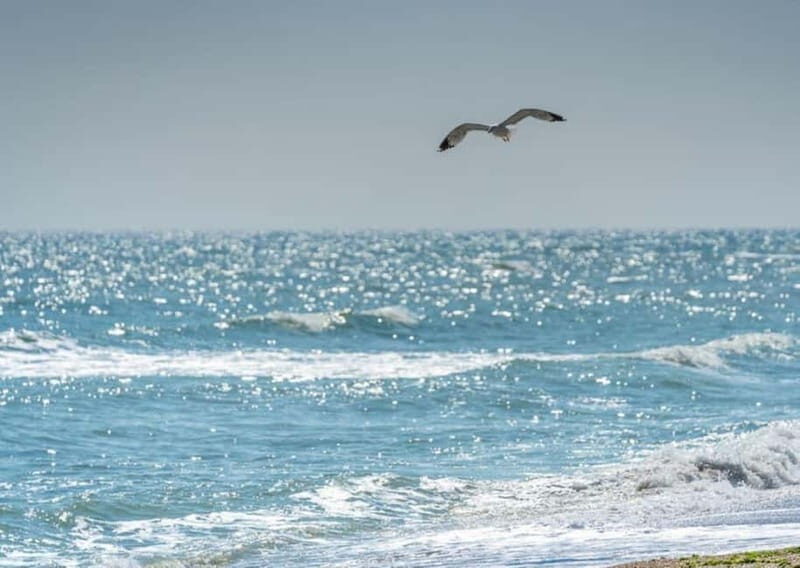 Black Sea from Bucharest, Small Group Tour, up to 7 - Key Points