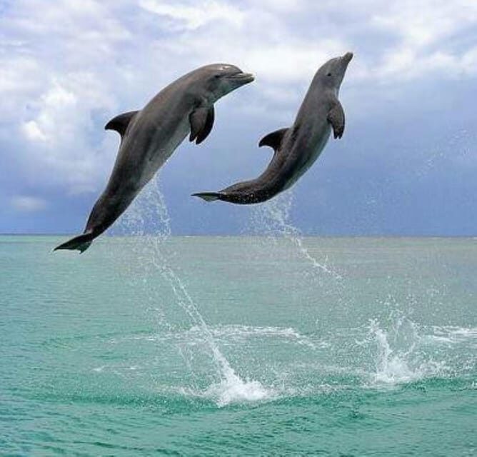 Black Sea from Bucharest, Small Group Tour, up to 7 - FAQ